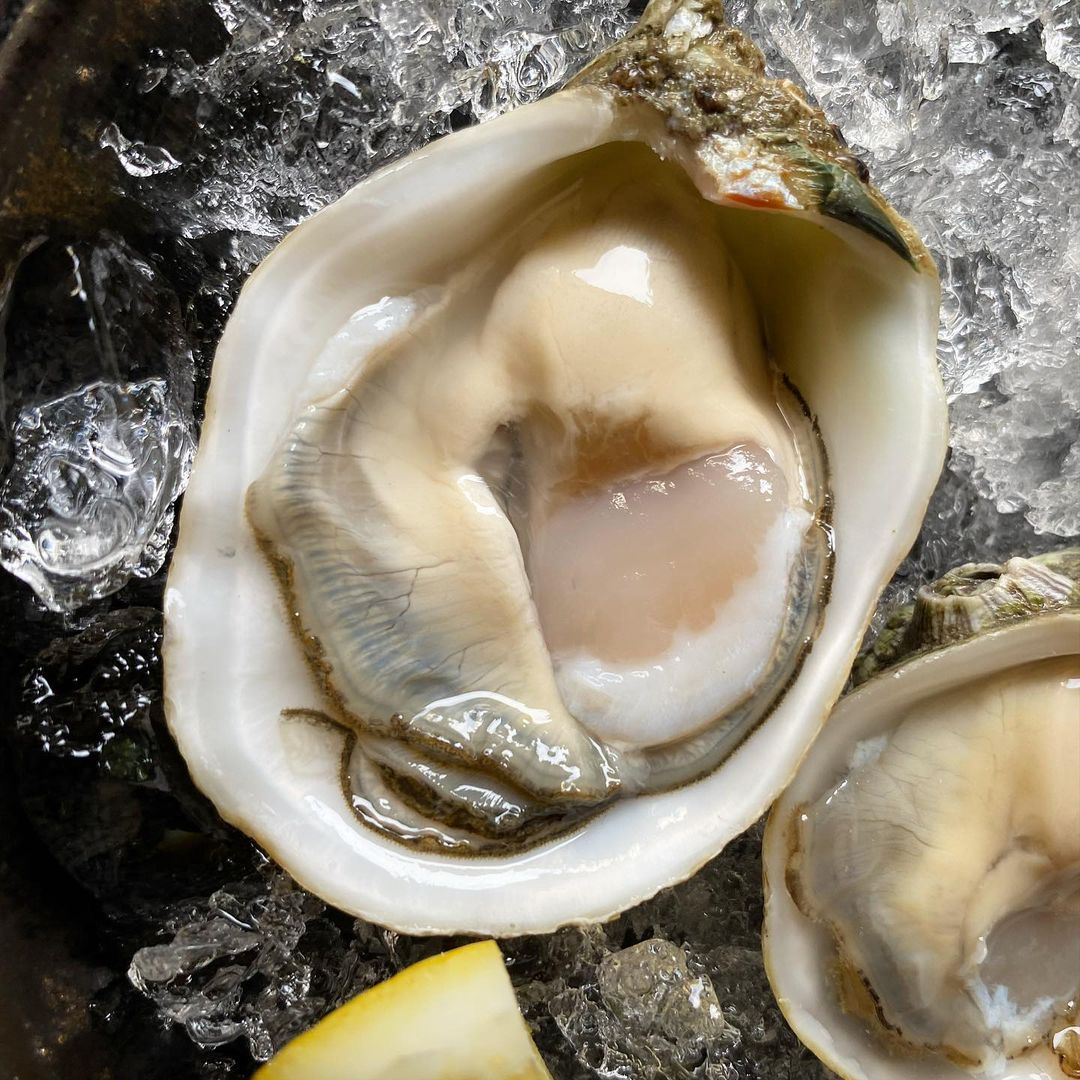 Ostiones, Almejas, Ostras ¡No Te Confundas! Estas Son Su Diferencias