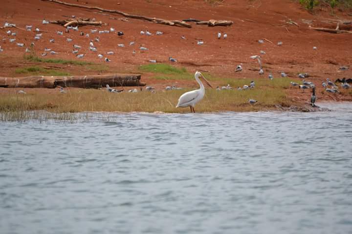 Mil Islas, Un Destino Paradisíaco Y Poco Explorado En Oaxaca