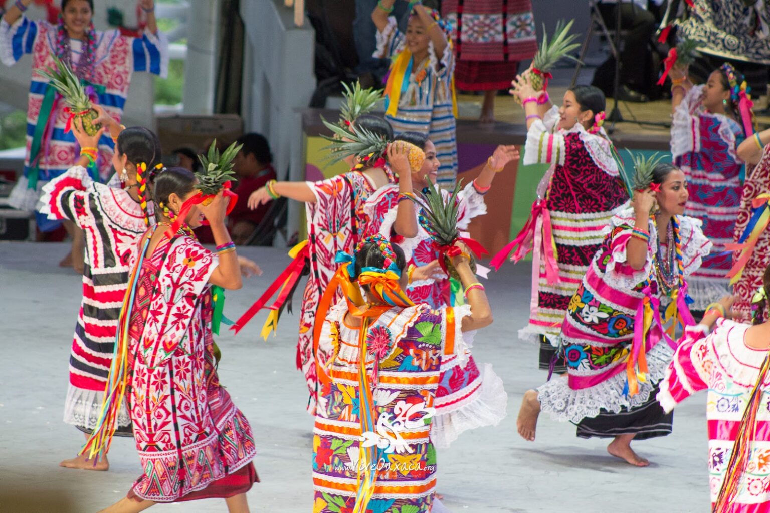 ¡Celebra El Día Estatal De Flor De Piña En Oaxaca! Una Fiesta De ...