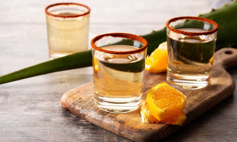 María Mezcal: El Bar Que Empodera Con Tacos, Mezcal Y Baladas Pop Mexicanas