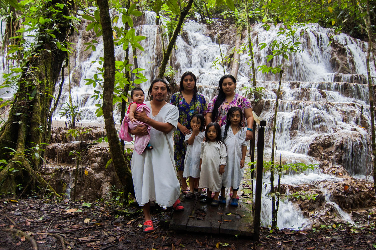 Selva Lacandona El Pulmón Más Grande Y Diverso De México