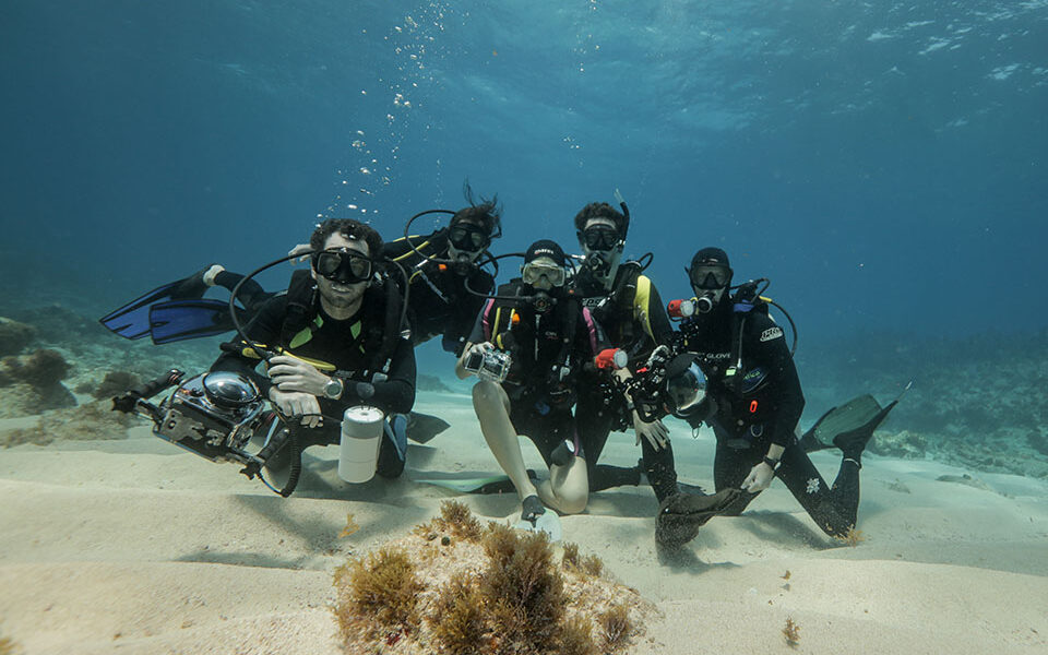 Los Mejores Lugares Para Bucear En El Caribe Mexicano