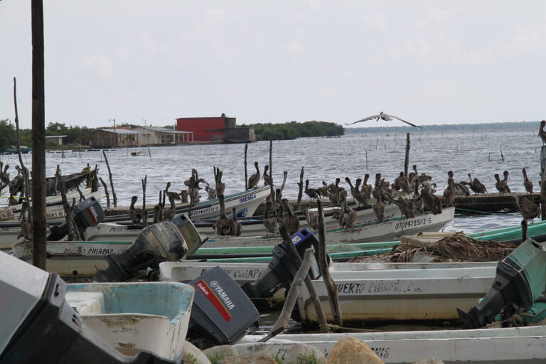 Conoce La Bahía De Paredón En Tonalá, Chiapas