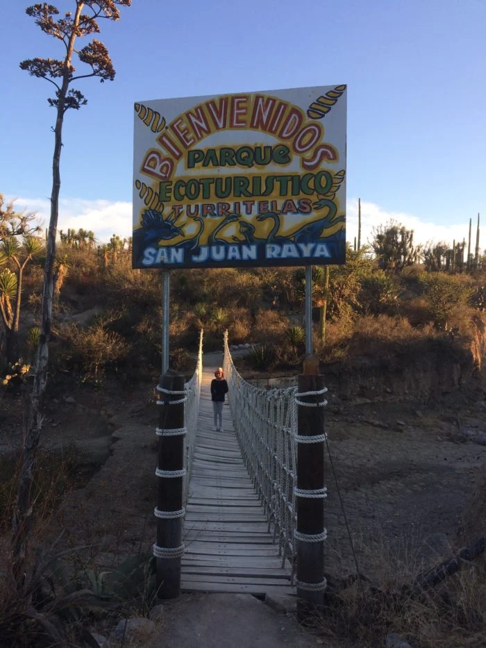 Conoce San Juan Raya, un tesoro paleontológico de Puebla - La Revista ...