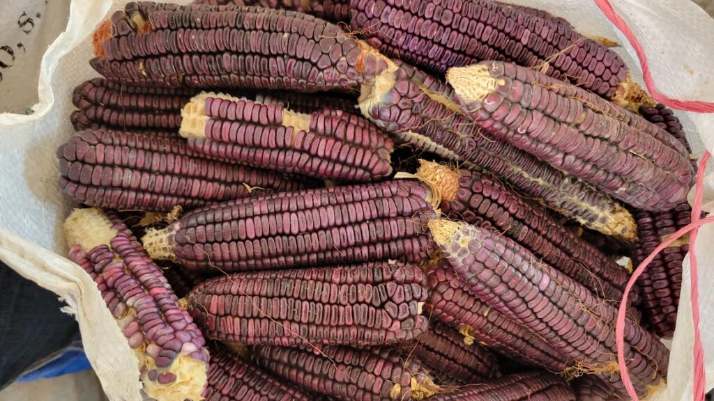 Las 5 Verduras Más Extrañas De Tabasco: ¡Descubre Su Sorprendente Mundo ...