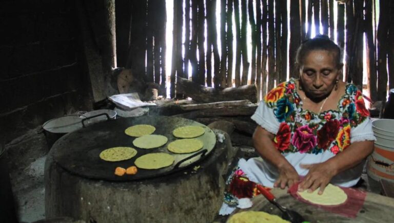 La Tía De Kaua: Antonia Noh Poot, La Verdadera Reina Del Poc-Chuc, Gana ...